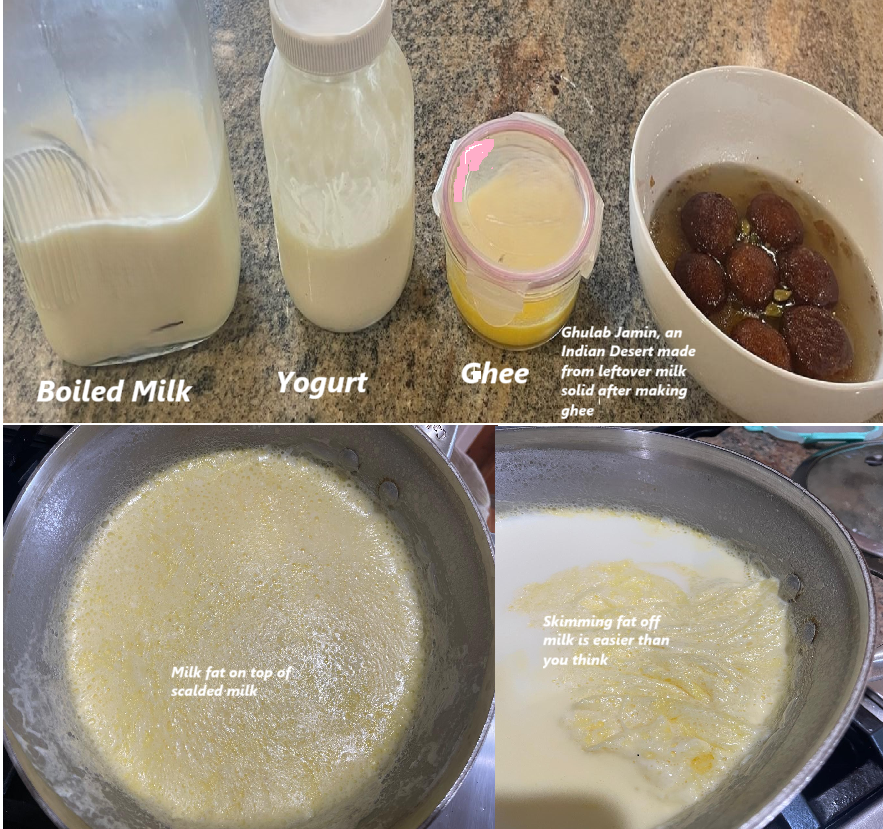 Decoding Milk Processing: The Science and Impact of Pasteurization ...